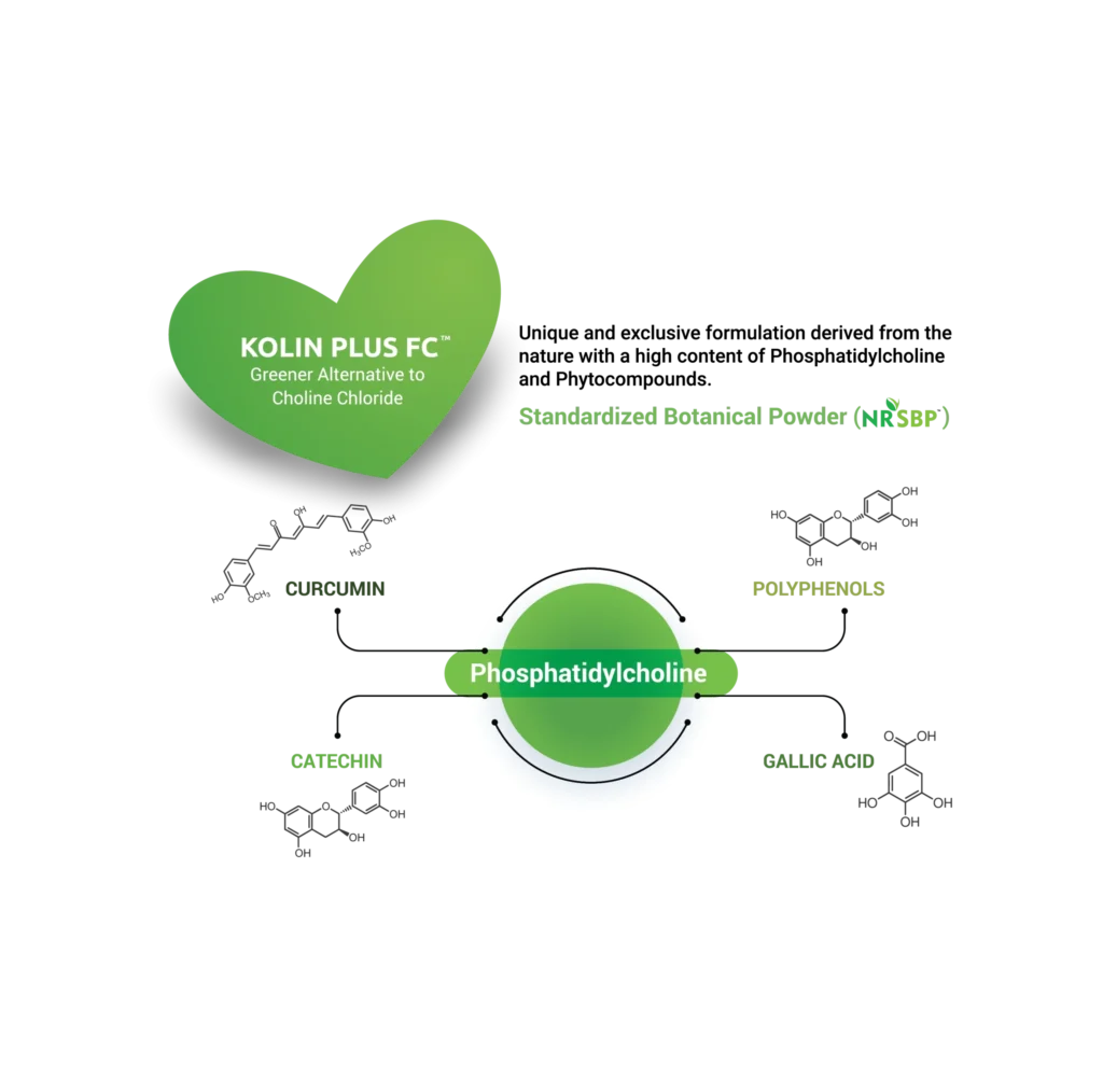 KOLIN PLUS - Natural Choline For Poultry & Swine